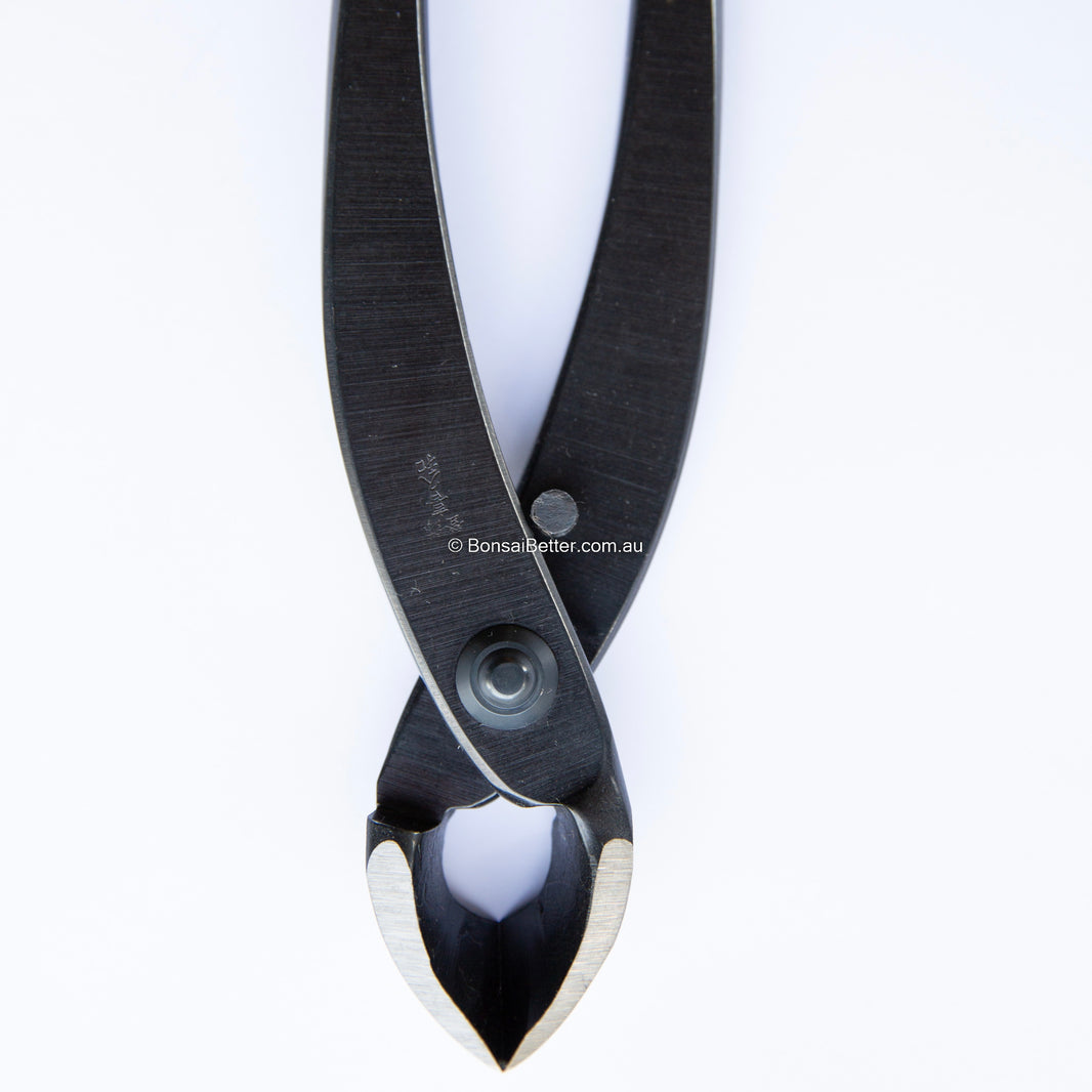 Bonsai Tools, Bonsai Scissors & Bonsai Wire | Bonsai Better
