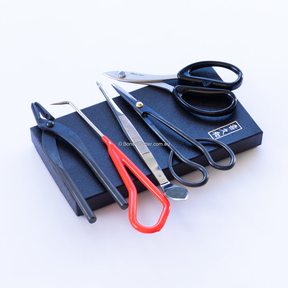 Bonsai Tools, Bonsai Scissors & Bonsai Wire | Bonsai Better