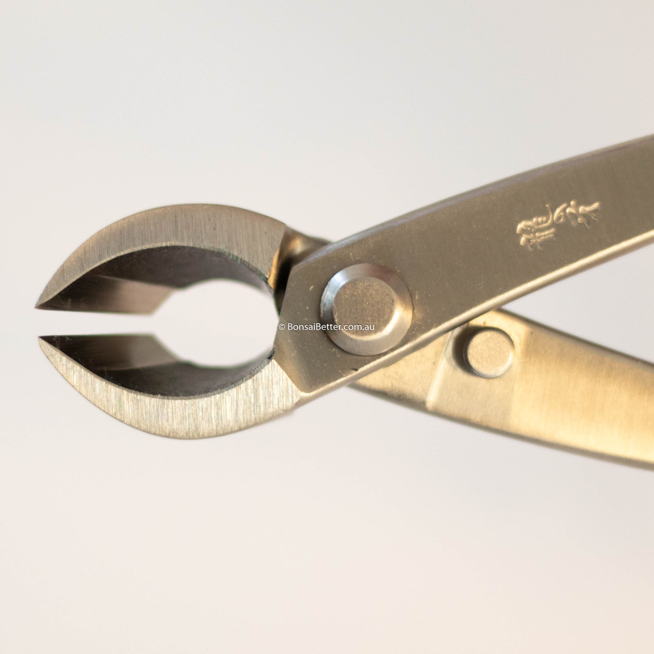 Ryuga Stainless Steel Bonsai Concave Branch Cutter | Bonsai Better